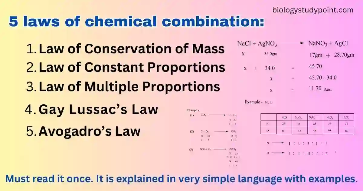 What Are The 5 Laws Of Chemical Combination? Learn Everything