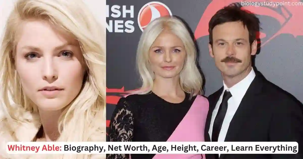 Whitney Able: Bio, Net Worth, Age, Height, Learn A-Z - 2025