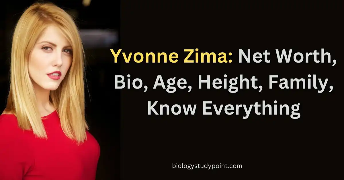 Yvonne Zima: Bio, Wiki, Net Worth, Age Relationship Know A-Z