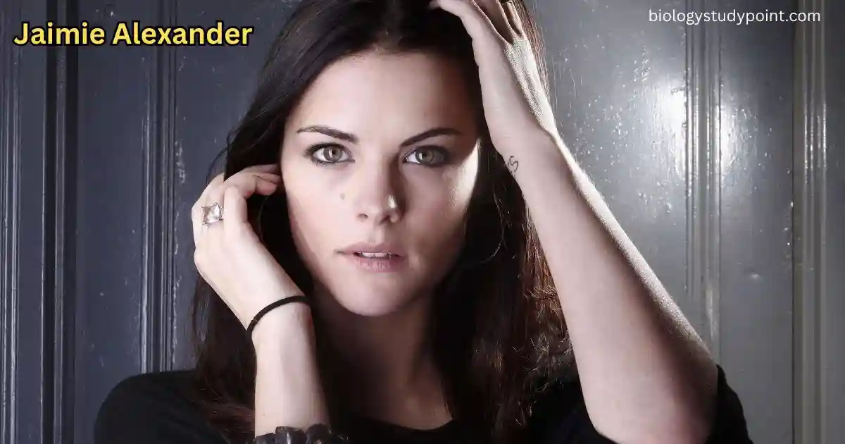 Jaimie Alexander: Bio, Movies, Net Worth, Husband, Know A-Z